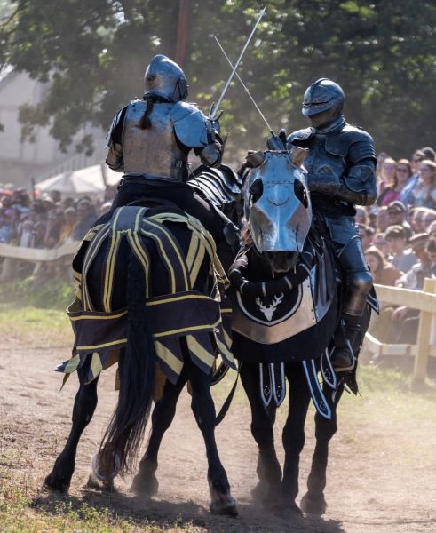 About New Riders of the Golden Age Joust Team